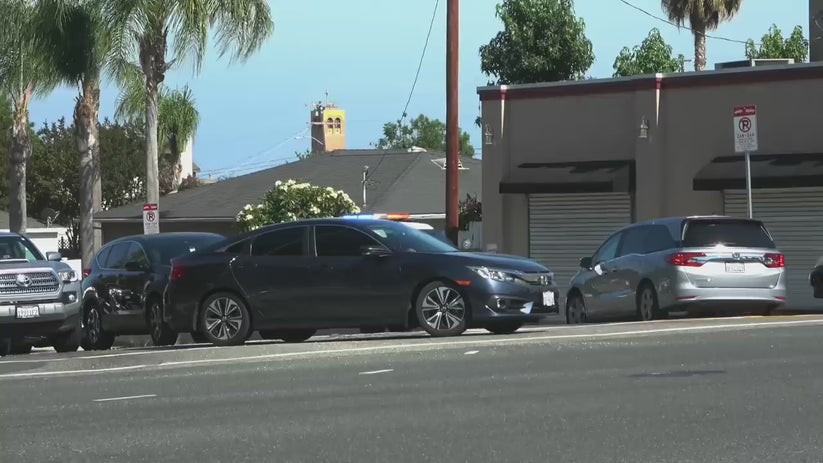 LAPD Based LSPD Livery Pack – Icey Development